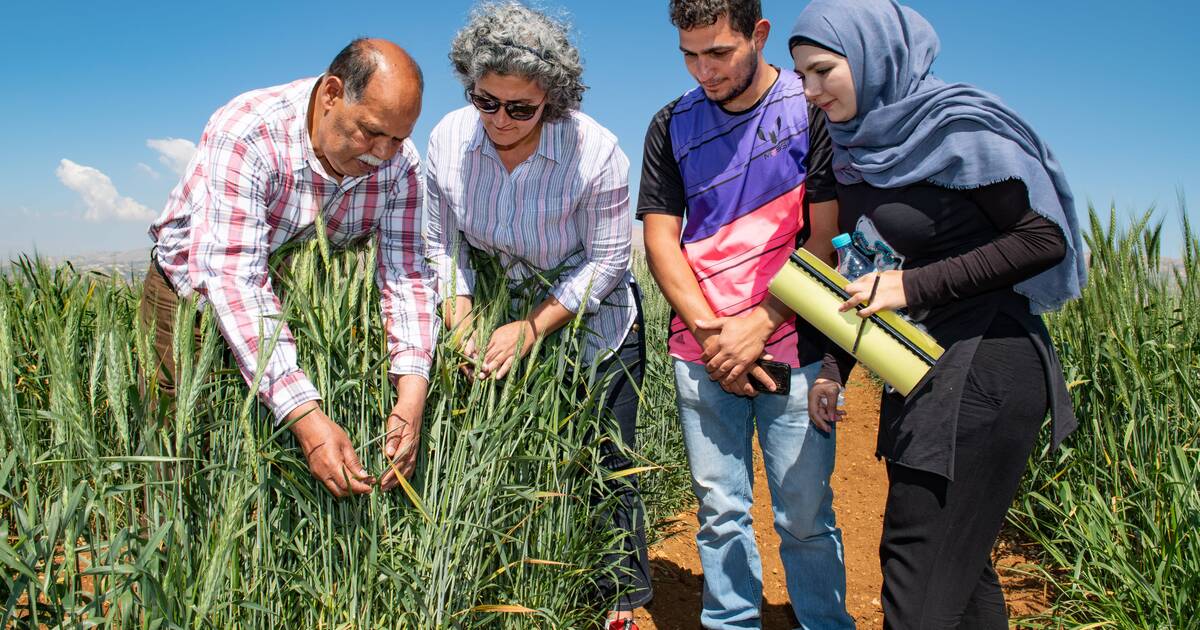 Delivering livelihood resilience in 2021 | ICARDA